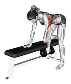 Remo con un brazo inclinado con mancuernas - Guía en Video | Lyfta