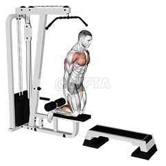 Inverse Leg Curl - Video Guide | Lyfta