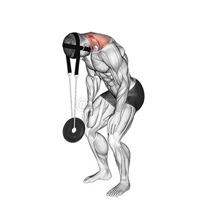 Weighted Standing Neck Extension - Video Guide | Lyfta