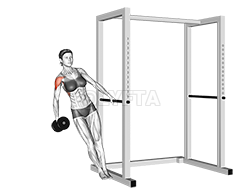 Dumbbell Single-arm Leaning Lateral Raise - Video Guide | Lyfta