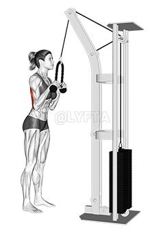 Cable Pushdown - Video Guide | Lyfta