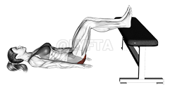 Glute Bridge Two Legs on Bench - Video Guide | Lyfta