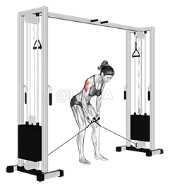 Cable Cross over Revers Fly - Video Guide | Lyfta