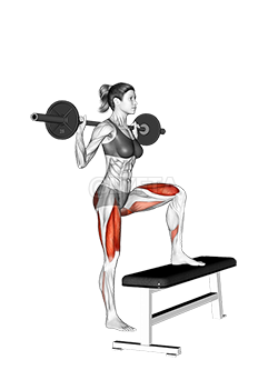 Barbell Step up - Video Guide | Lyfta