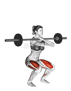 Barbell Front Squat - Video Guide | Lyfta