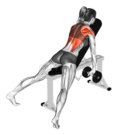 Remo inclinado con mancuernas - Guía en Video | Lyfta