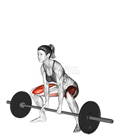 Barbell Sumo Deadlift - Video Guide | Lyfta