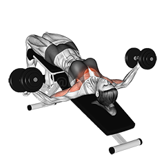Dumbbell Decline Twist Fly - Video Guide | Lyfta