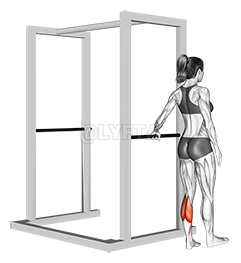 One Leg Floor Calf Raise - Video Guide | Lyfta