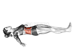Elevación de cadera - Guía en Video | Lyfta