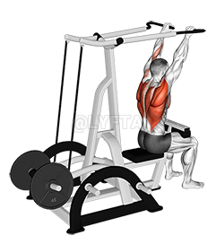 Lever High Row - Video Guide | Lyfta