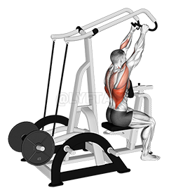 Lever High Row - Video Guide | Lyfta