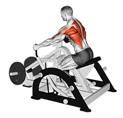 Lever Seated Row - Video Guide | Lyfta