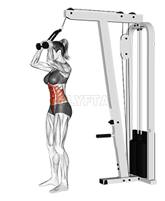 Cable Standing Crunch - Video Guide | Lyfta