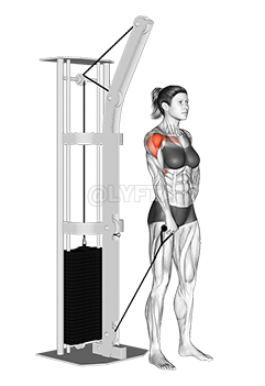 Cable One Arm Front Raise - Video Guide | Lyfta