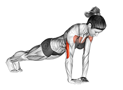 Diamond Push up - Video Guide | Lyfta