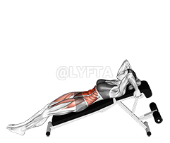 Incline Leg Hip Raise - Video Guide | Lyfta