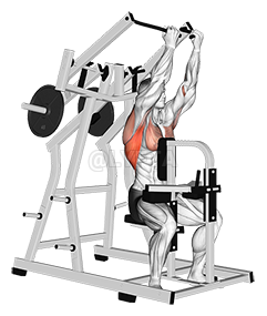 Lever Reverse grip Lateral Pulldown - Video Guide | Lyfta