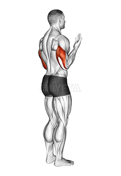 Codo - Extensión - Articulaciones - Guía en Video | Lyfta