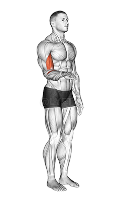 Forearm - Supination - Articulations - Video Guide | Lyfta