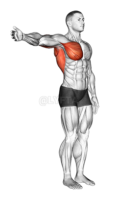 Schulter – Adduktion – Artikulationen - Videoanleitung | Lyfta