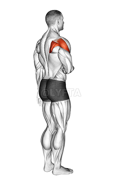 Hombro - Rotación lateral - Guía en Video | Lyfta