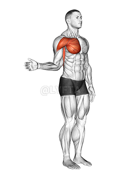 Shoulder - Medial Rotation - Video Guide | Lyfta