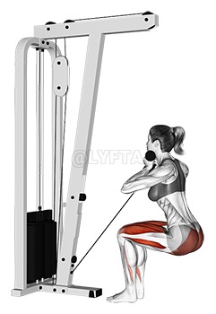 Cable Narrow Chair Stand Up - Video Guide | Lyfta