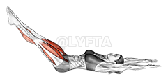 Hundred - Video Guide | Lyfta