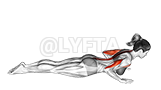 Prone Press-Swan - Video Guide | Lyfta