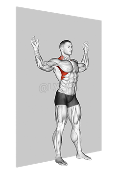 Scapular Slide Back to Wall - Video Guide | Lyfta