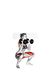 덤벨 추진기 - 비디오 안내 | Lyfta