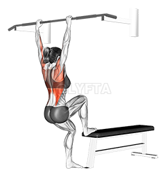Bench Pull-ups - Video Guide | Lyfta
