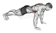 Scapula Push-up - Video Guide | Lyfta