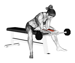 Barbell Wrist Curl - Video Guide | Lyfta