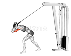 Cable High Pulley Overhead Tricep Extension - Video Guide | Lyfta