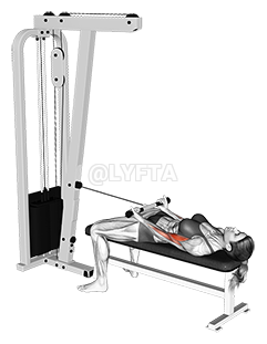 Cable Lying Bicep Curl - Video Guide | Lyfta