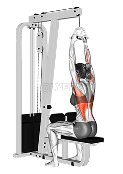 Cable Seated High Row - Video Guide | Lyfta