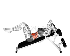 Decline Bent Leg Reverse Crunch - Video Guide | Lyfta
