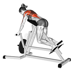 Lever Reverse T-Bar Row - Video Guide | Lyfta