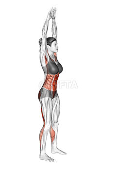 Front Toe Touching - Video Guide | Lyfta