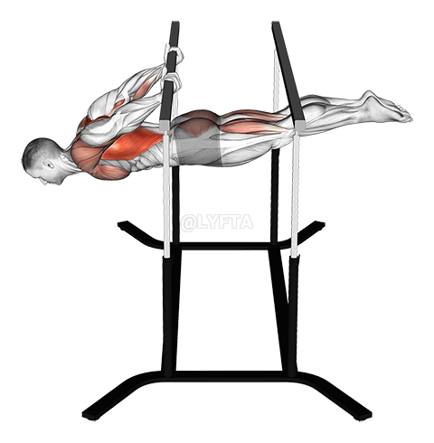 Back lever - Video Guide | Lyfta