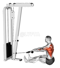 Cable Seated on Floor Row with Rope - Video Guide | Lyfta