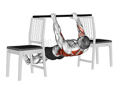 Inverted Row between Chairs - Video Guide | Lyfta
