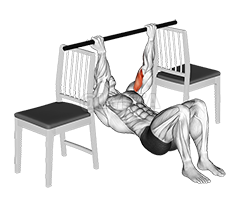 Inverted Chin Curl with Bent Knee between Chairs - Video Guide | Lyfta