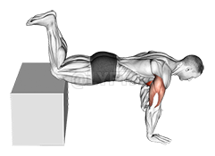 Decline Kneeling Push-up on Box - Video Guide | Lyfta