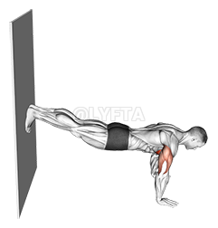 Decline Push-up against Wall - Video Guide | Lyfta
