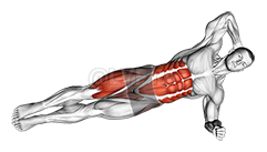 Siko hangtod sa Knee Side Plank Crunch - Gabay sa Video | Lyfta