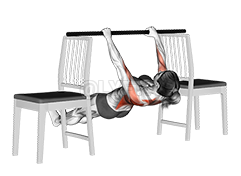 Inverted Row between Chairs - Video Guide | Lyfta