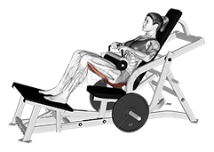 Lever Hip Thrust - Video Guide | Lyfta